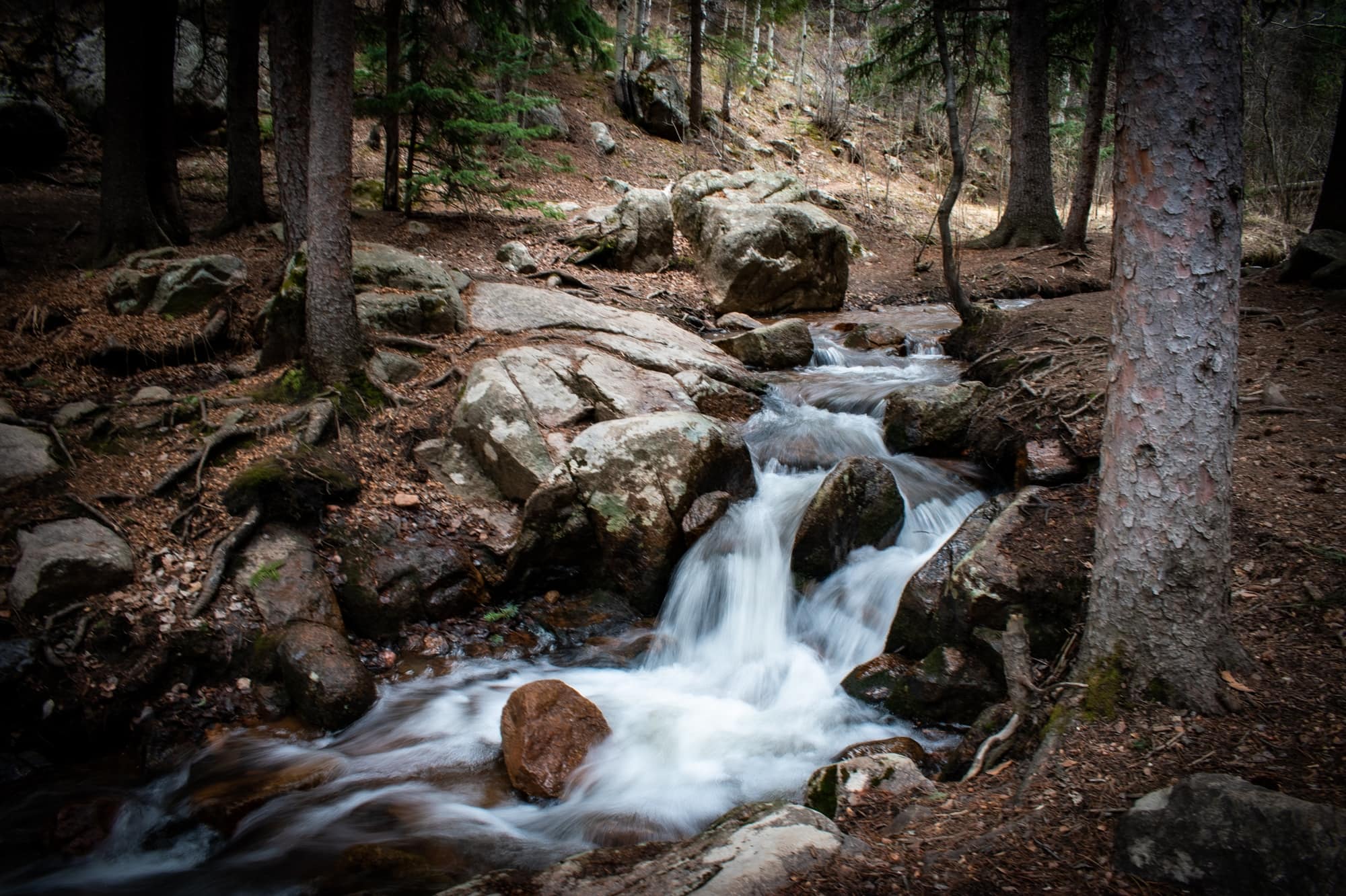 Maxwell Falls | Waterfall Hike near Denver, Colorado