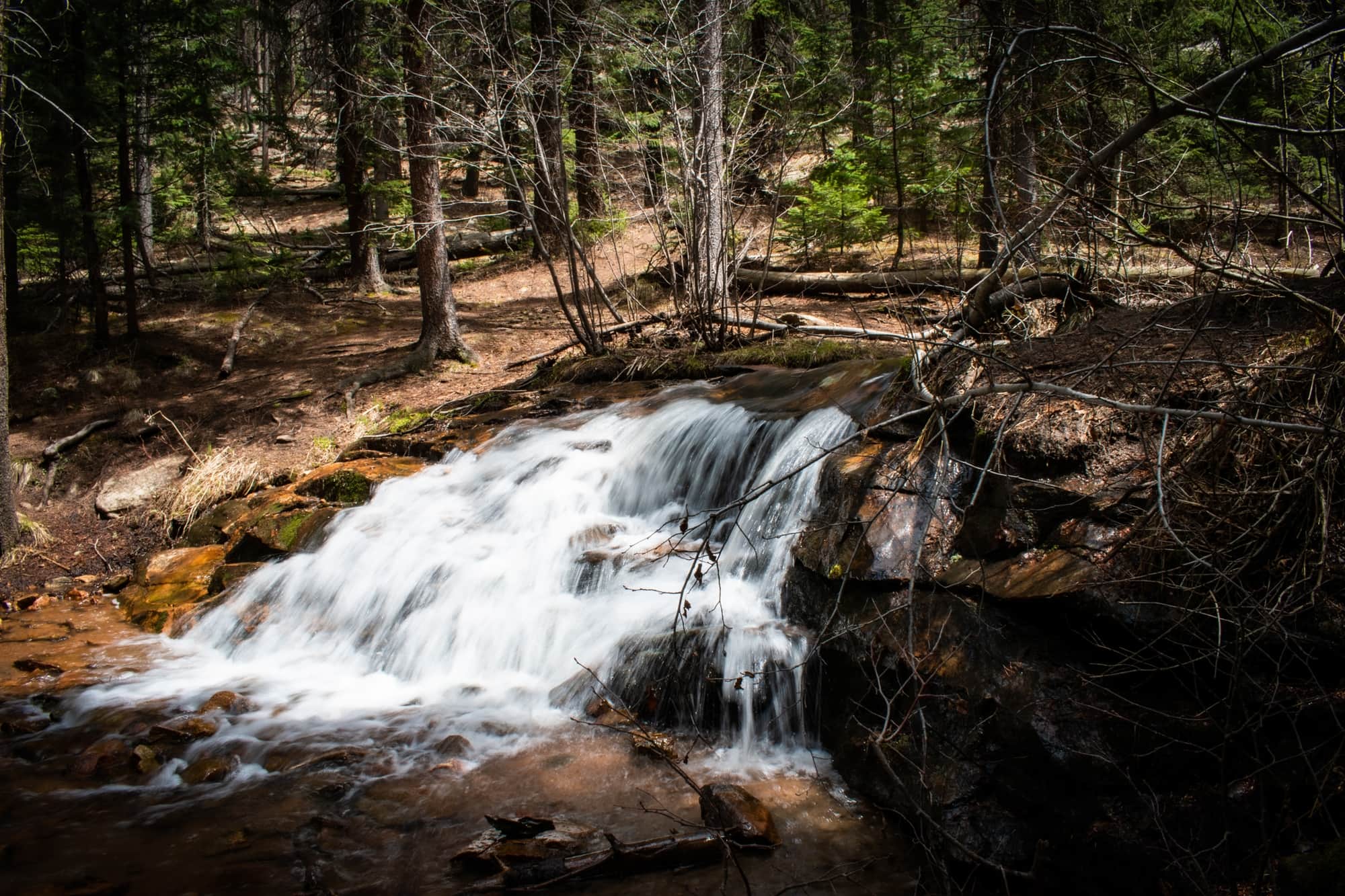 Maxwell Falls | Waterfall Hike near Denver, Colorado