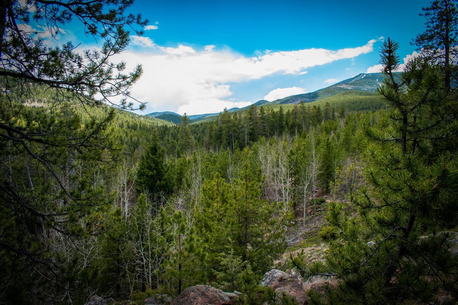 Maxwell Falls | Waterfall Hike near Denver, Colorado