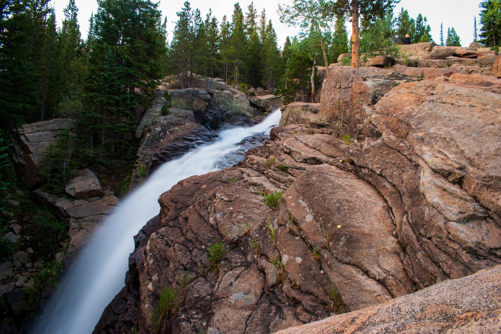 Alberta Falls | Waterfall hike in Rocky Mountain National Park
