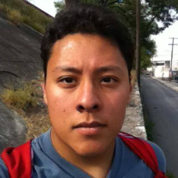 Iván López Palomo - Webflow