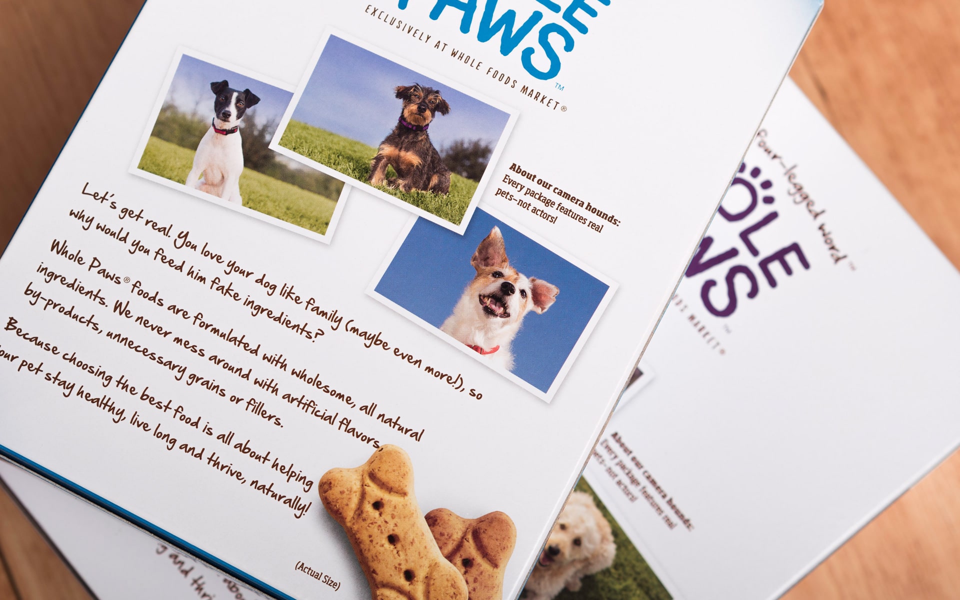 Sanders Design Co. LLC - Work Examples for Whole Paws