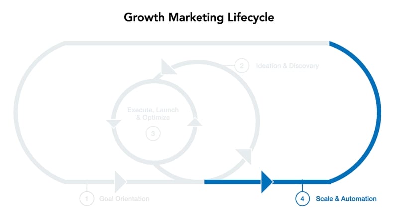 Asking for phone numbers: optional, required, or hidden? | HMS Commerce