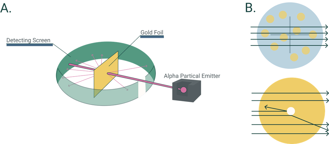 The History of the Atomic Model: Rutherford and Bohr