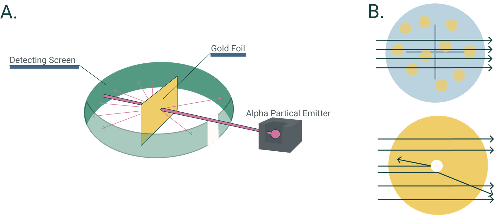 The History of the Atomic Model: Rutherford and Bohr