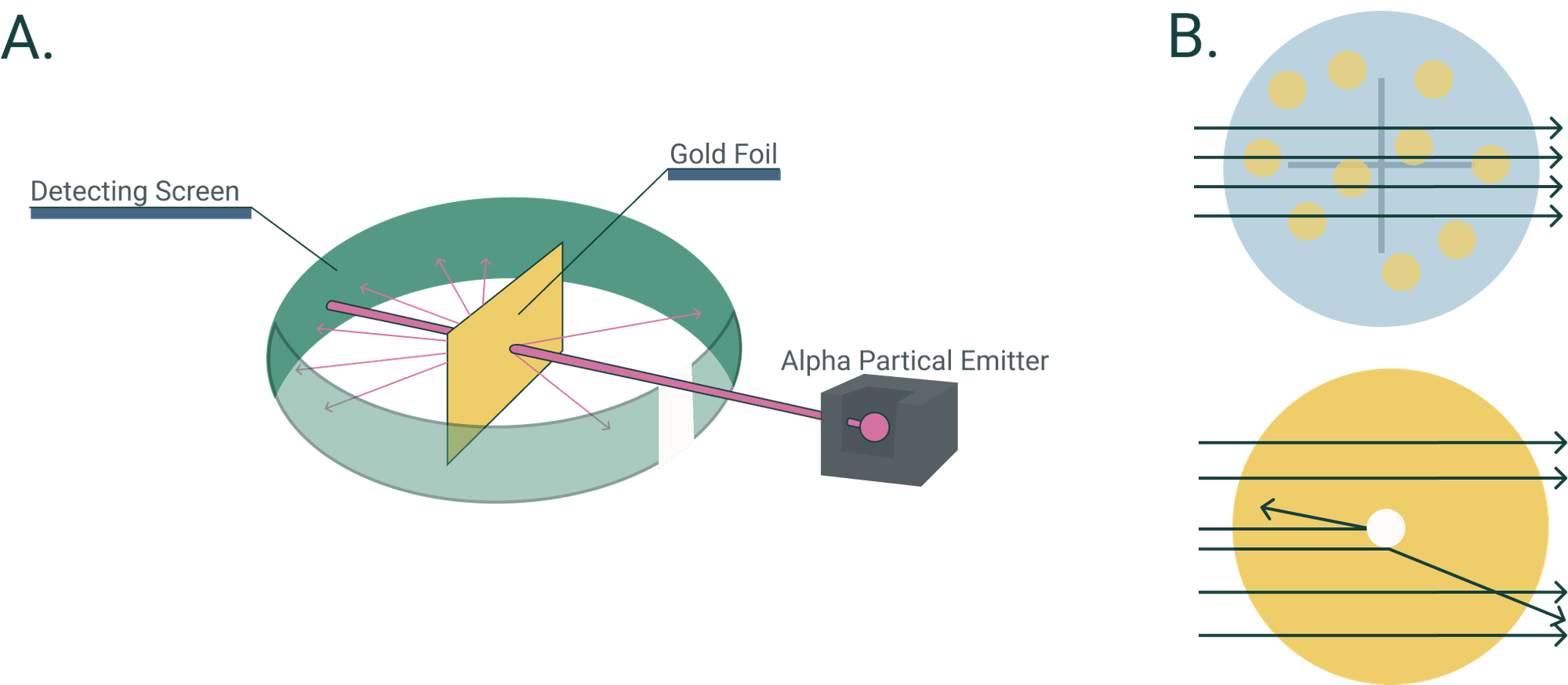 The History of the Atomic Model: Rutherford and Bohr
