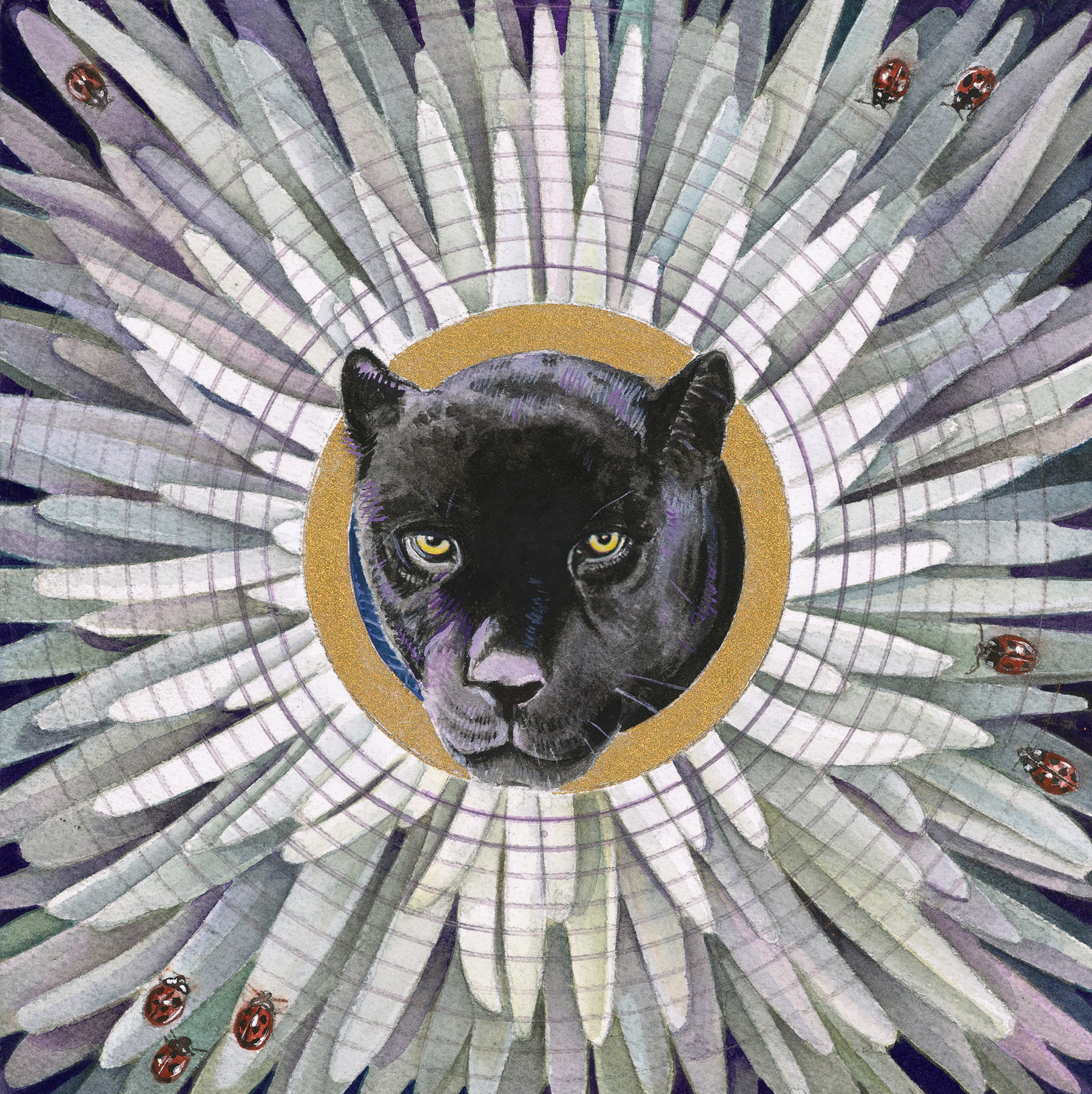 Black Panther - Fearless, Enigmatic, and Royal Protection