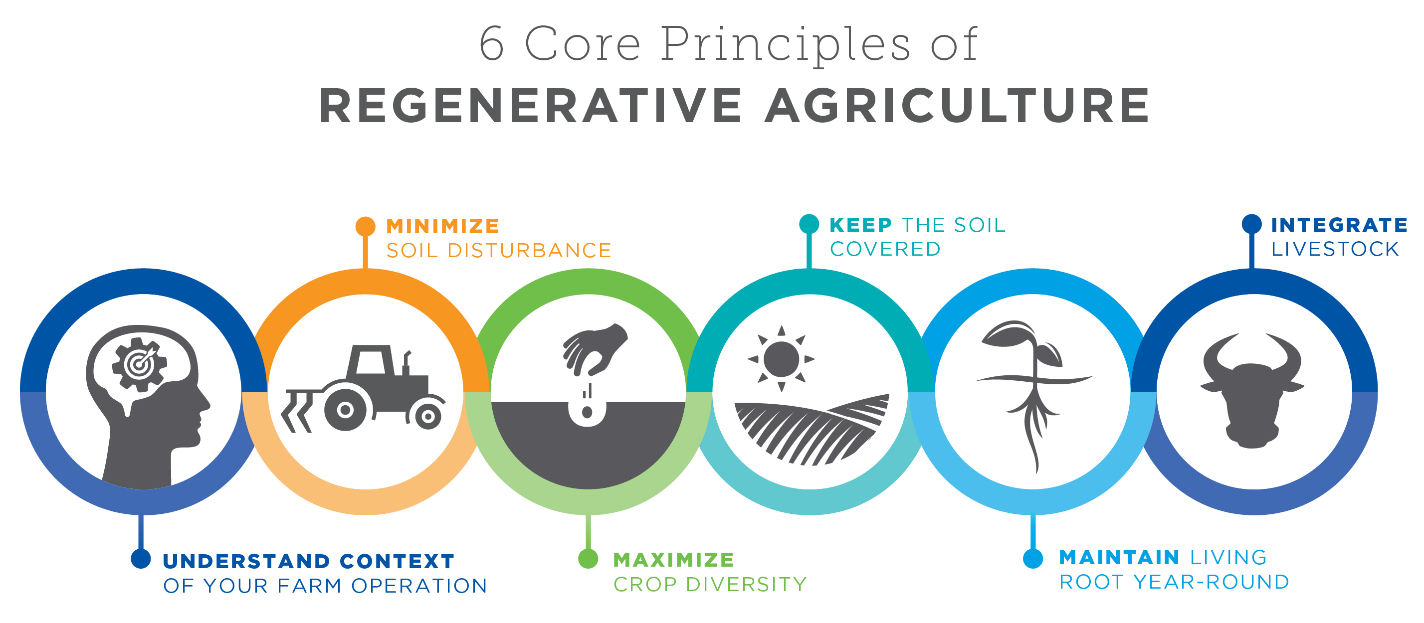 What Is Regenerative Agriculture 