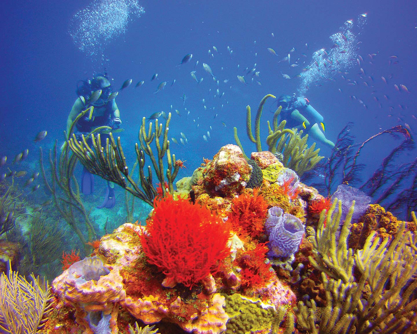 Ins & Outs of St. Vincent & the Grenadines