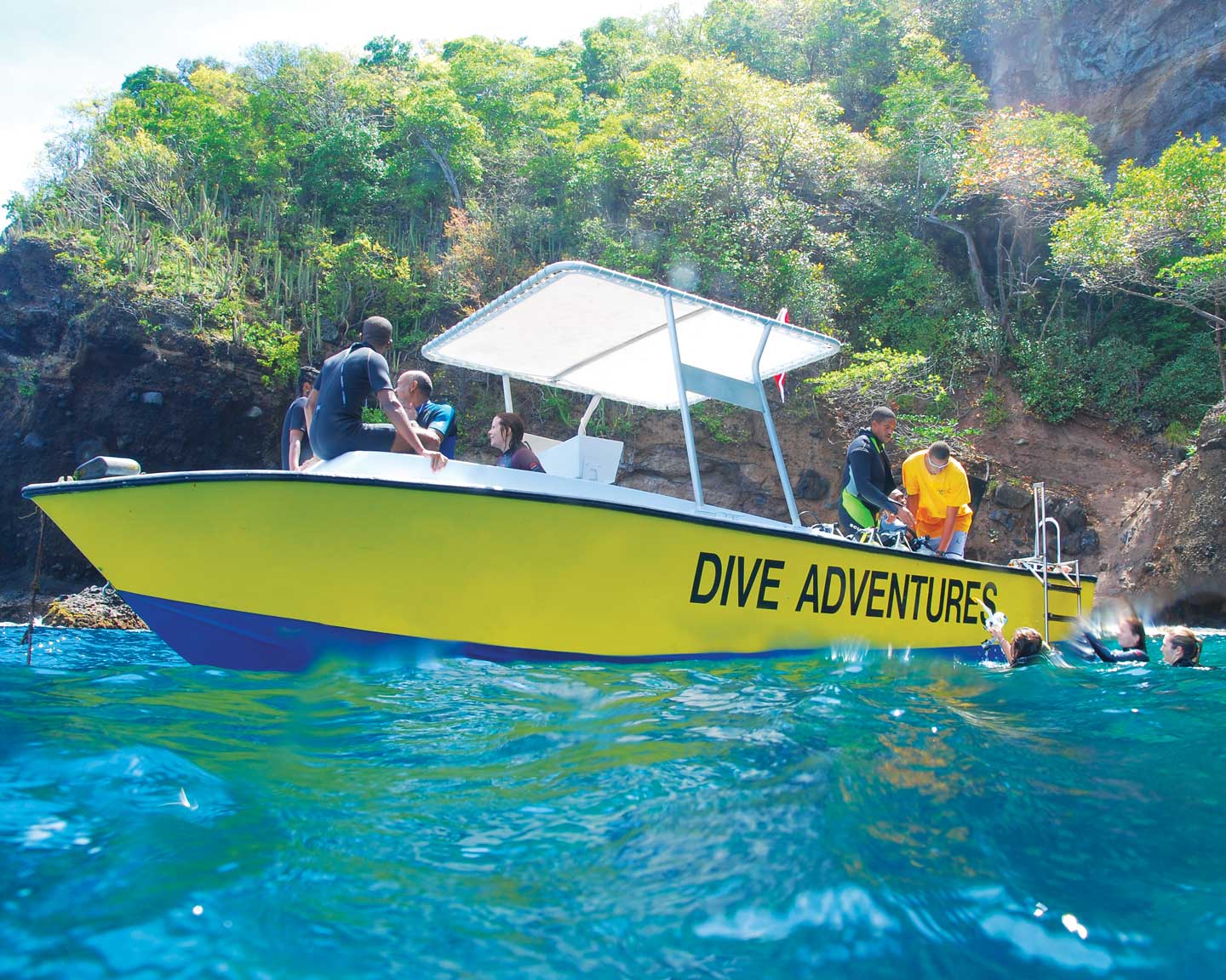 Diving