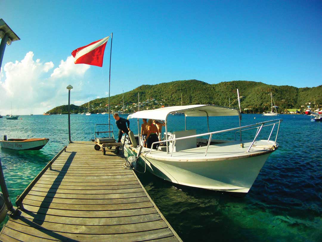 Dive Bequia