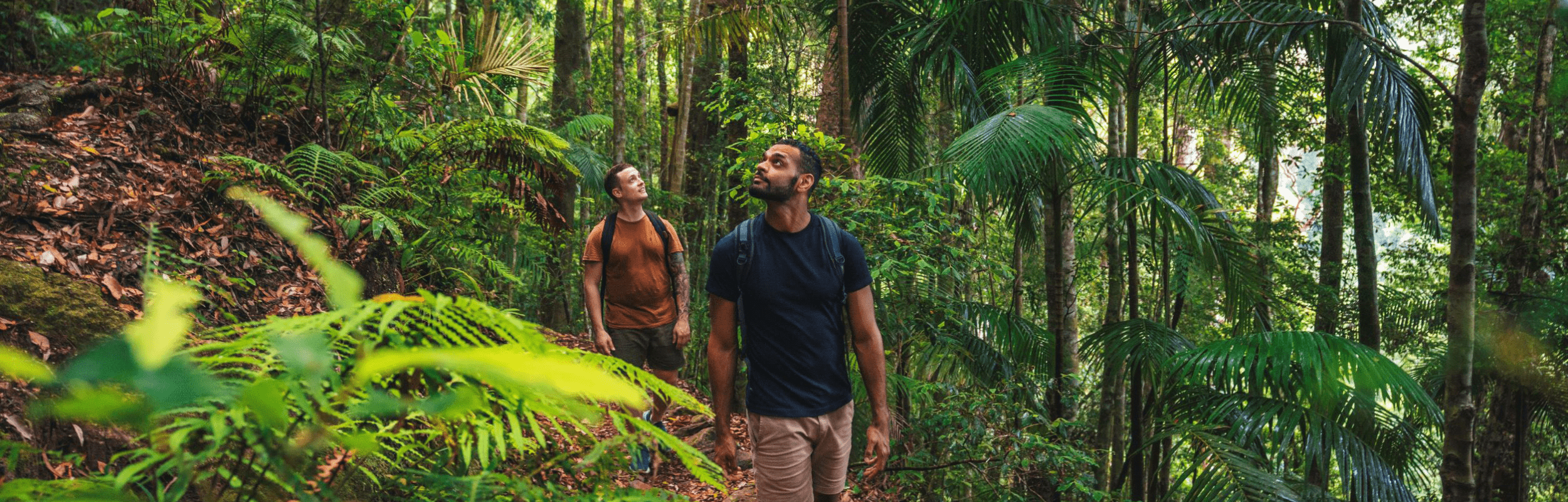 Firefly Express Bus to Sydney, Melbourne and Adelaide