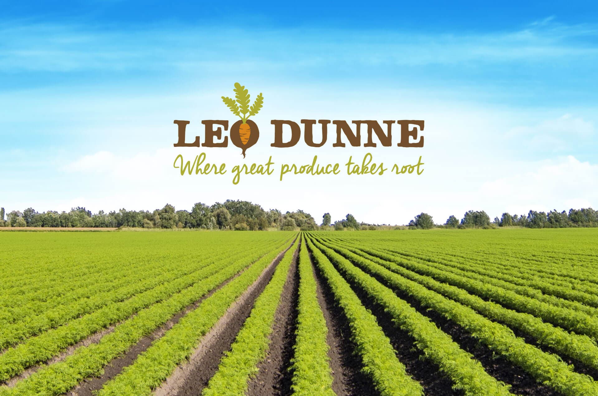 Identity - Leo Dunne | Pixel Ink | Branding & Packaging Design agency ...