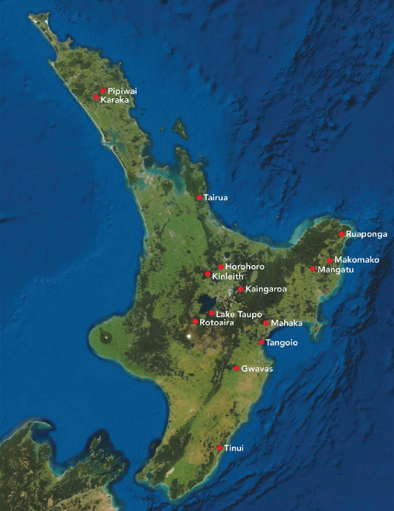 Tree Breeding | Radiata Pine Breeding Company
