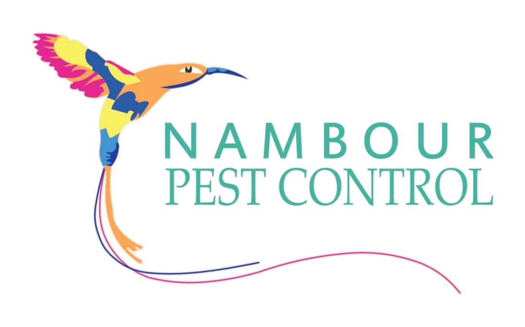Nambour Toads Rugby Union Club Official Website