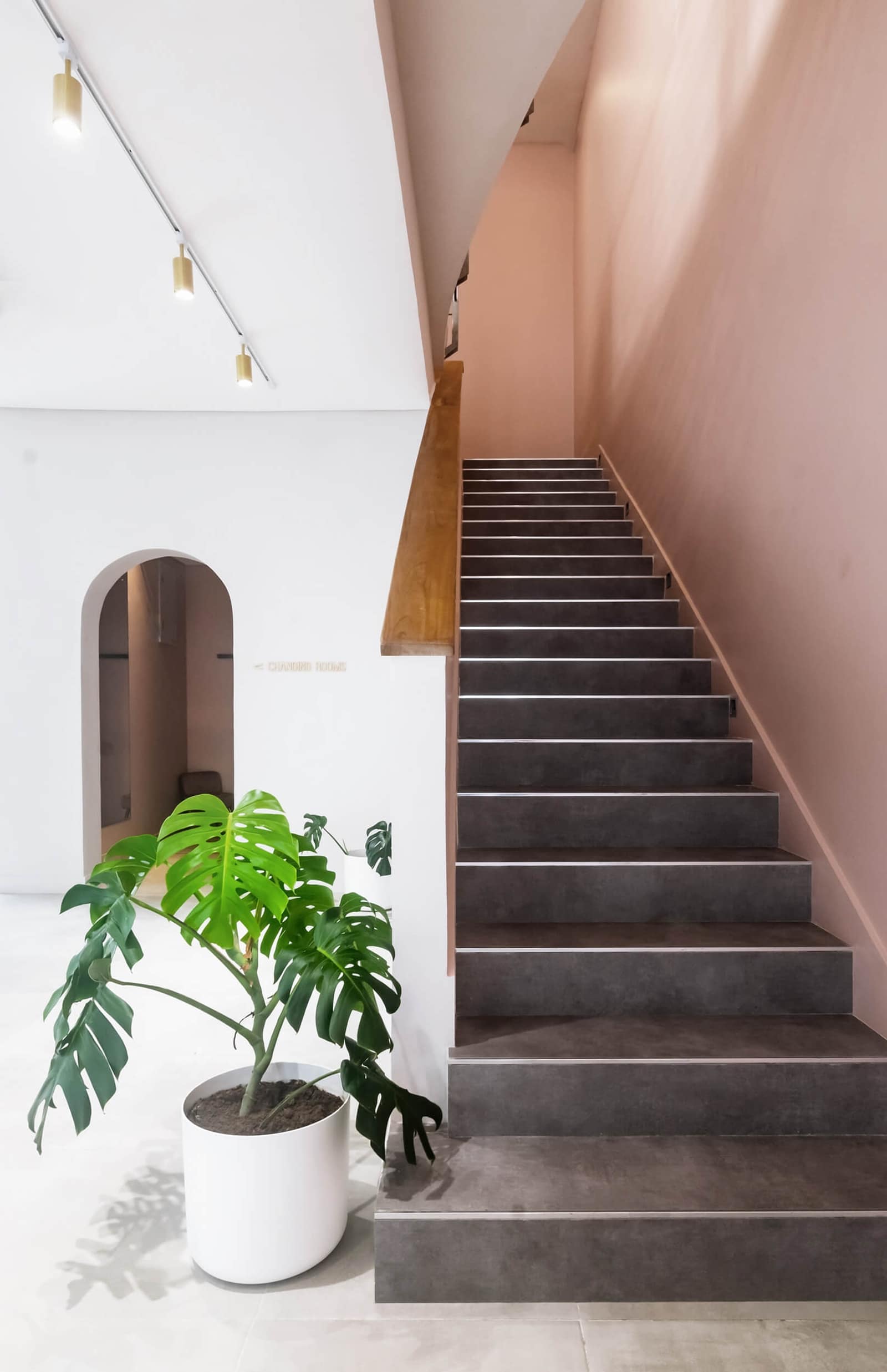Studio Contra | CLAN Showroom
