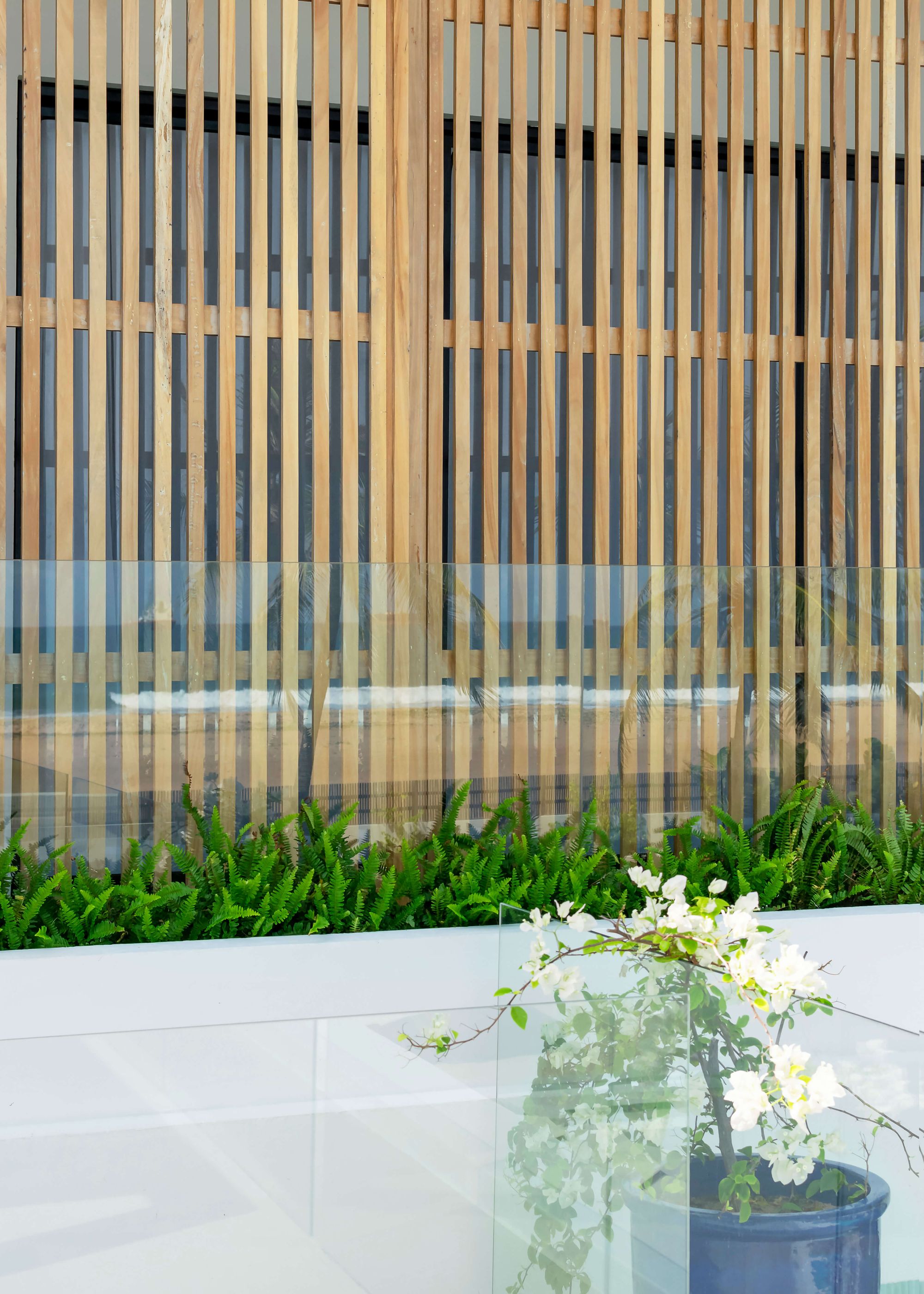 Studio Contra | BAMBU