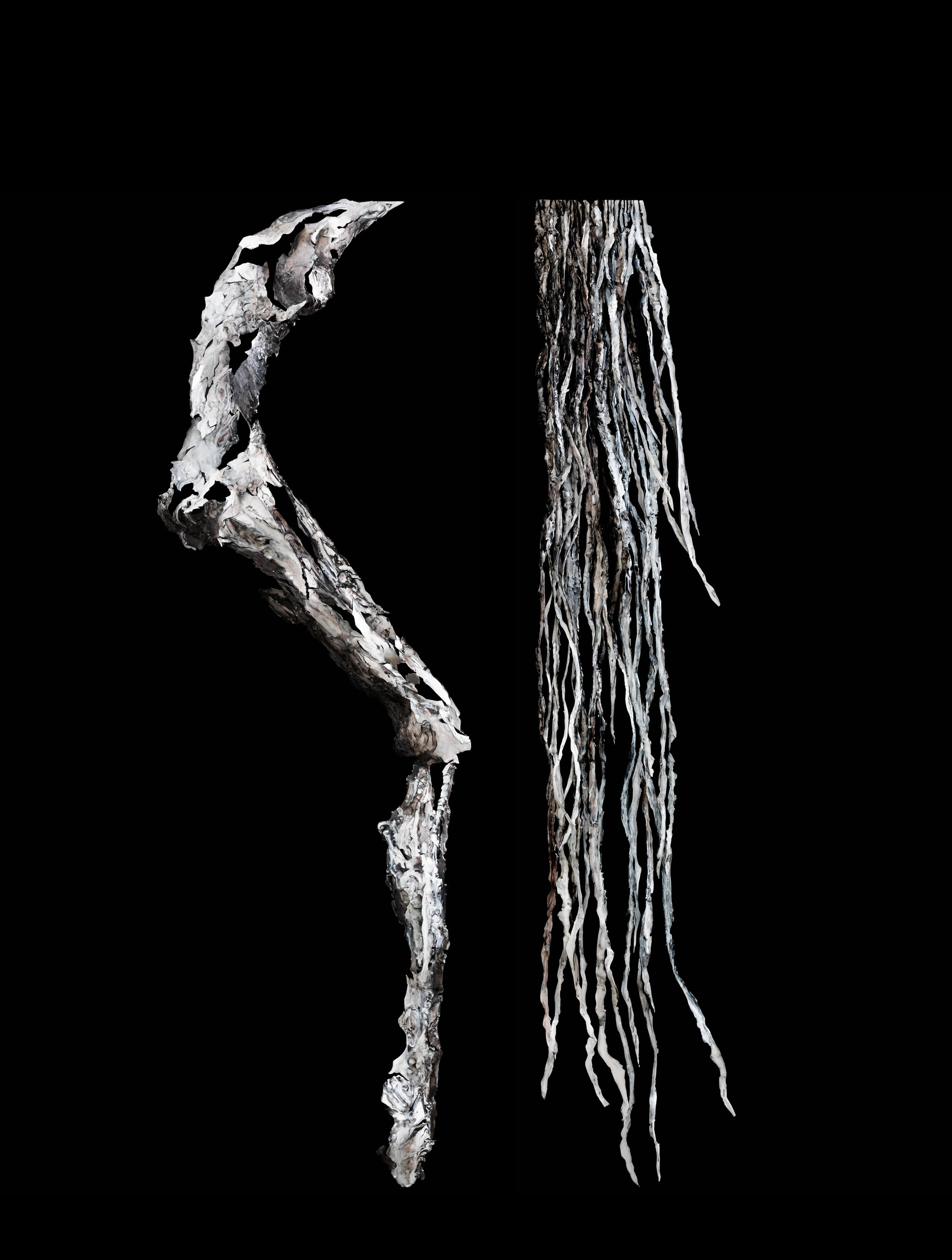 Marie Riedel
