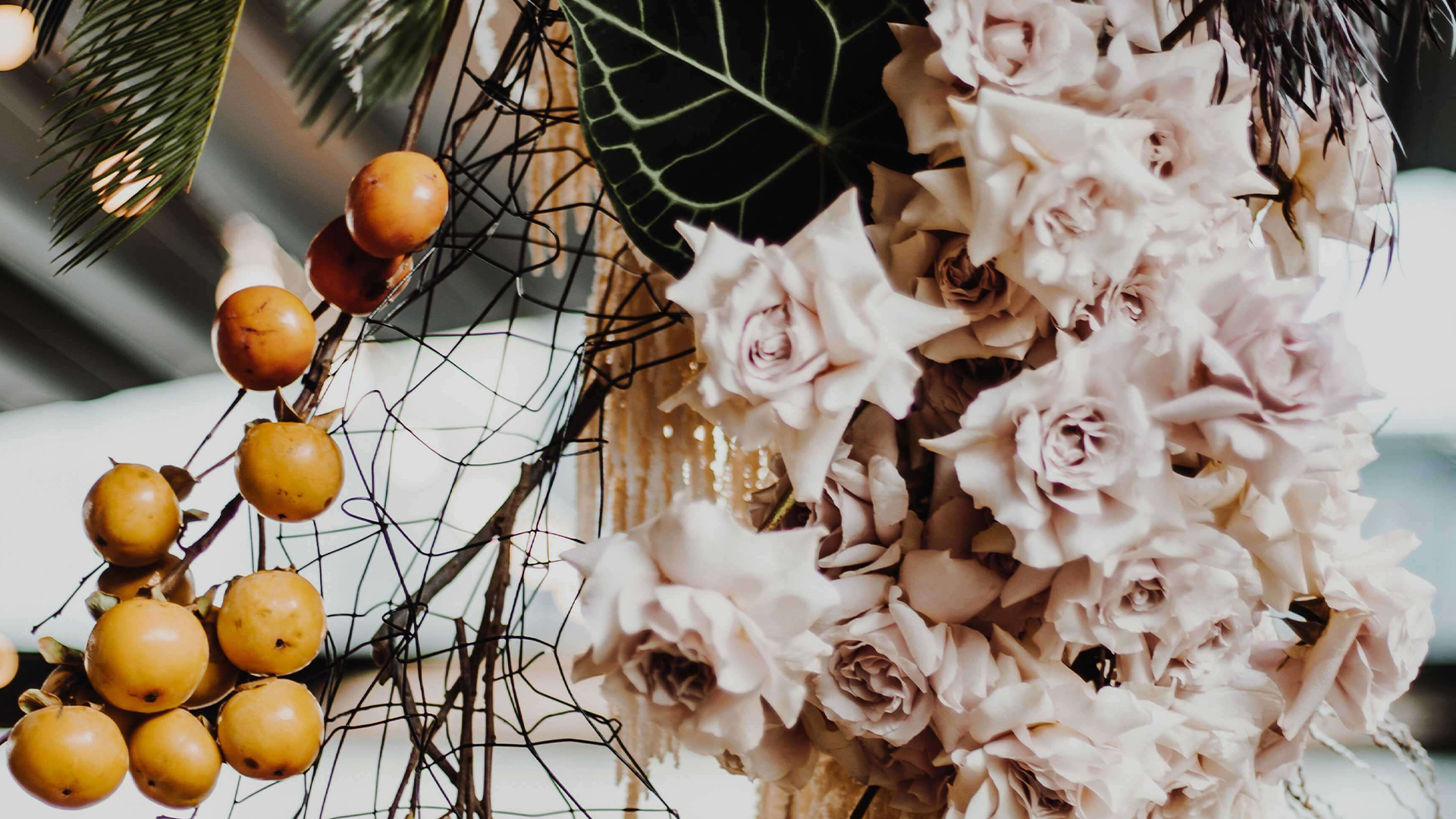 Welcome to Studio Botanic