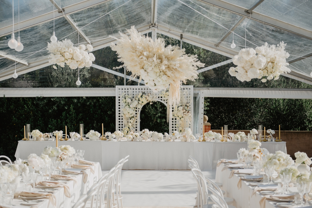 Welcome to Studio Botanic