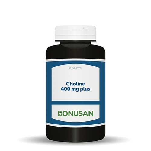 Cholin 400 mg Plus, 90 Stk. | ZEBE Gesundheitsshop