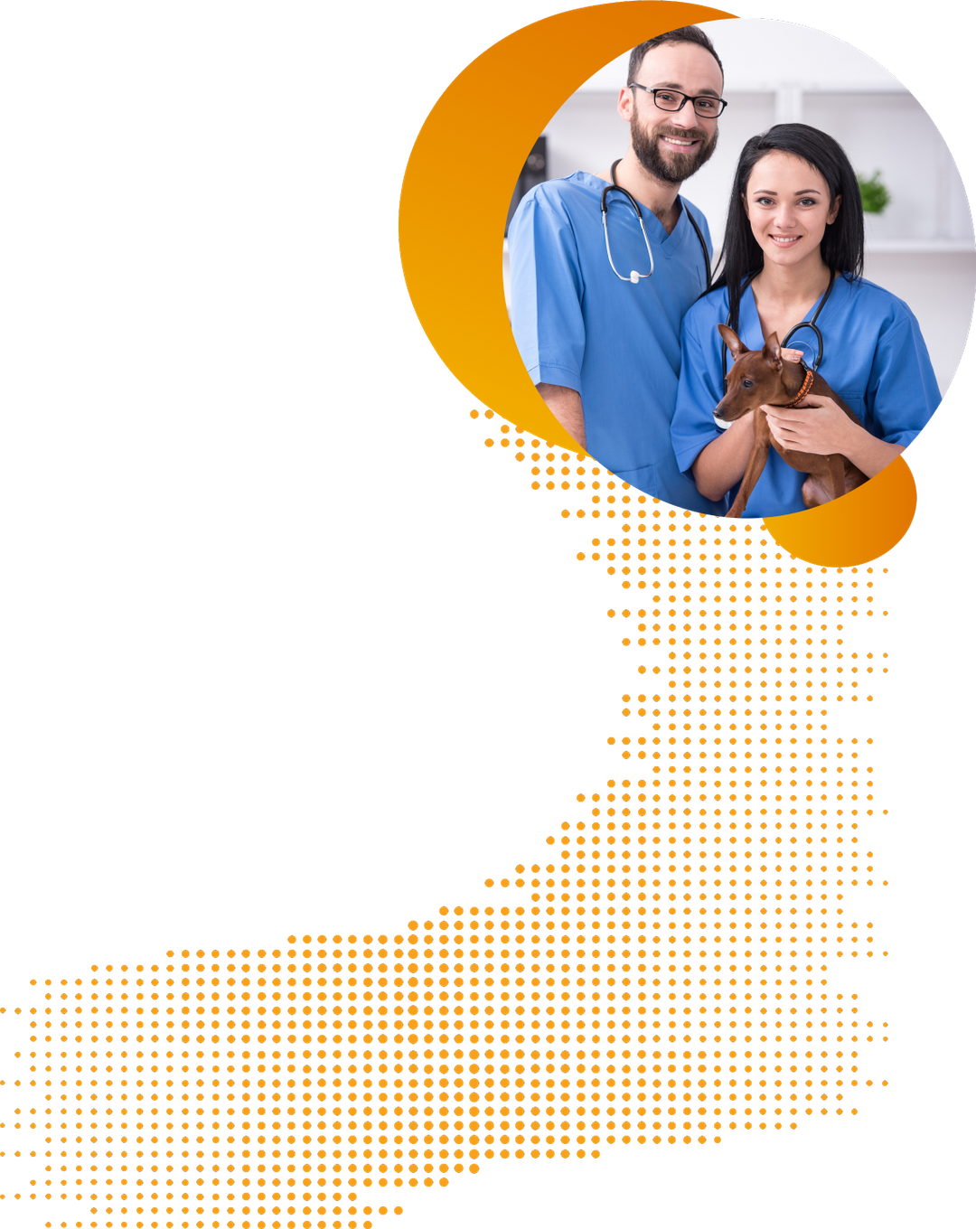 United Veterinary Care