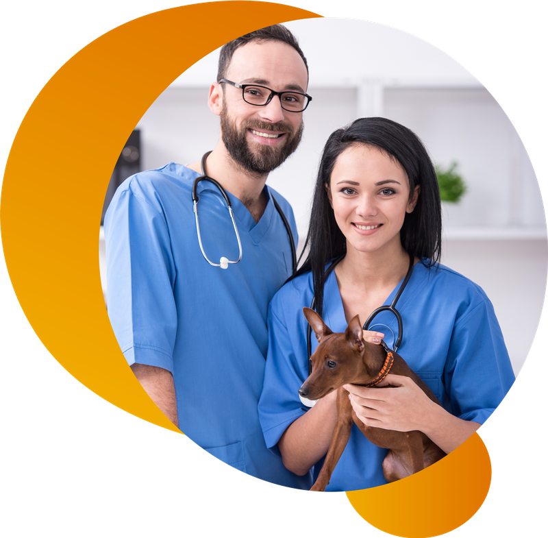 United Veterinary Care