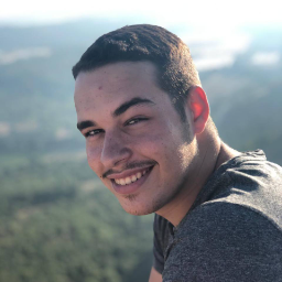 Daniel Fedirko - Webflow