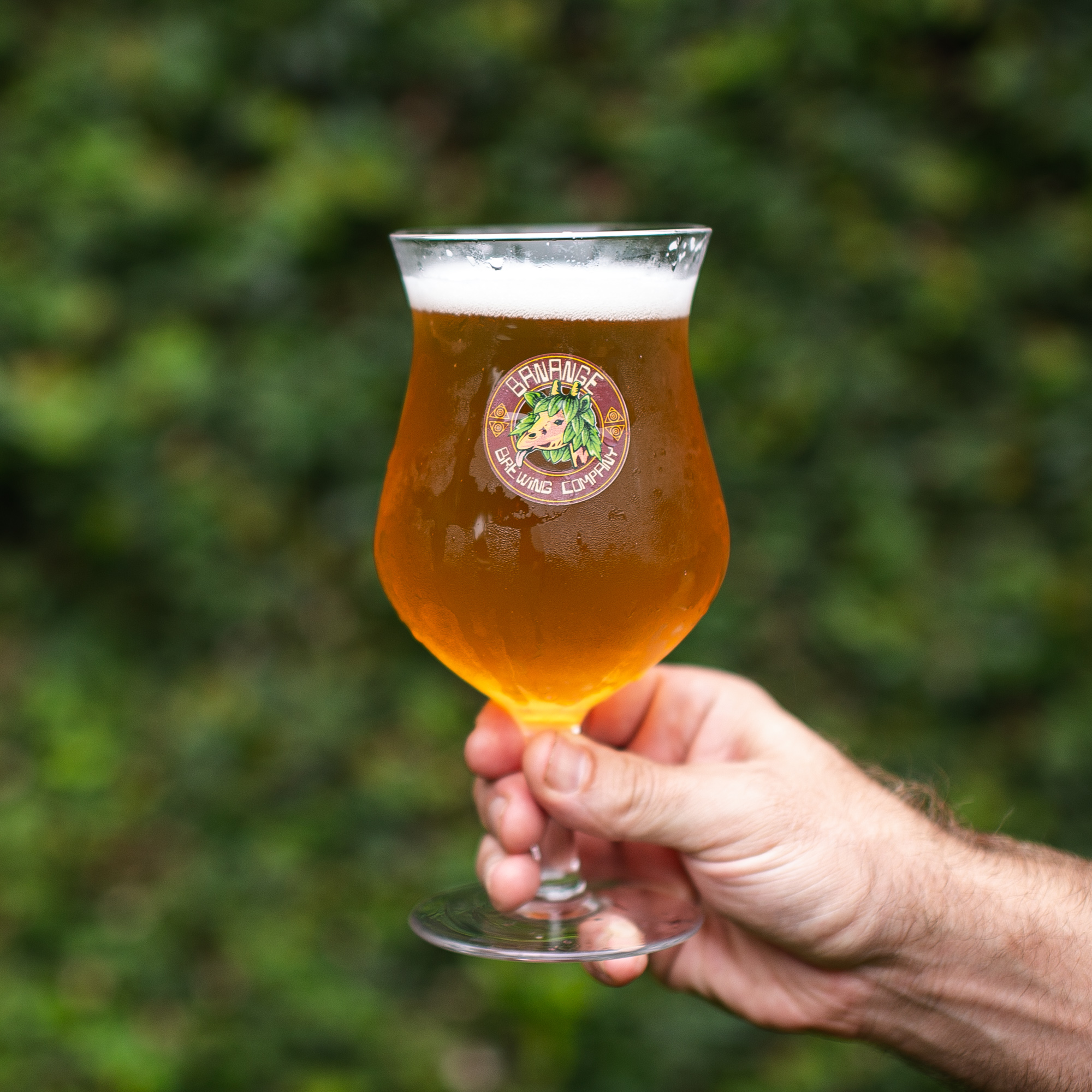 Banange Brewing Company - The Beer