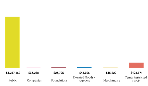 Financials | The Adventure Project
