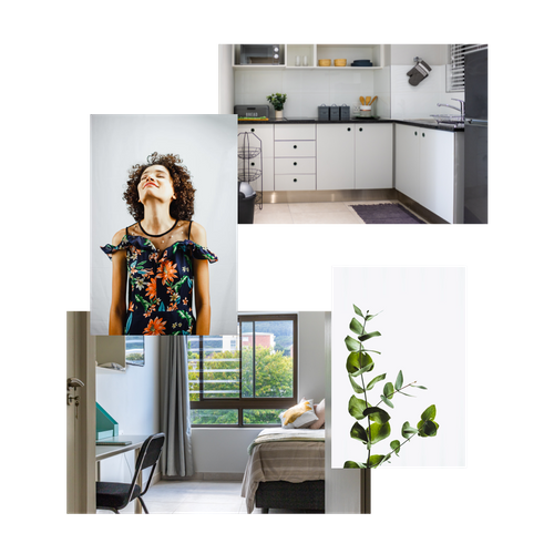 Fountain Rez — Student Accommodation In Cape Town.