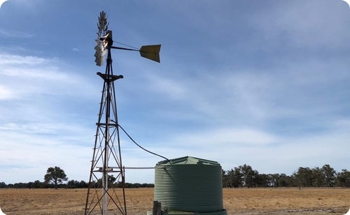 GPS ear tags for cattle tracking | mOOvement