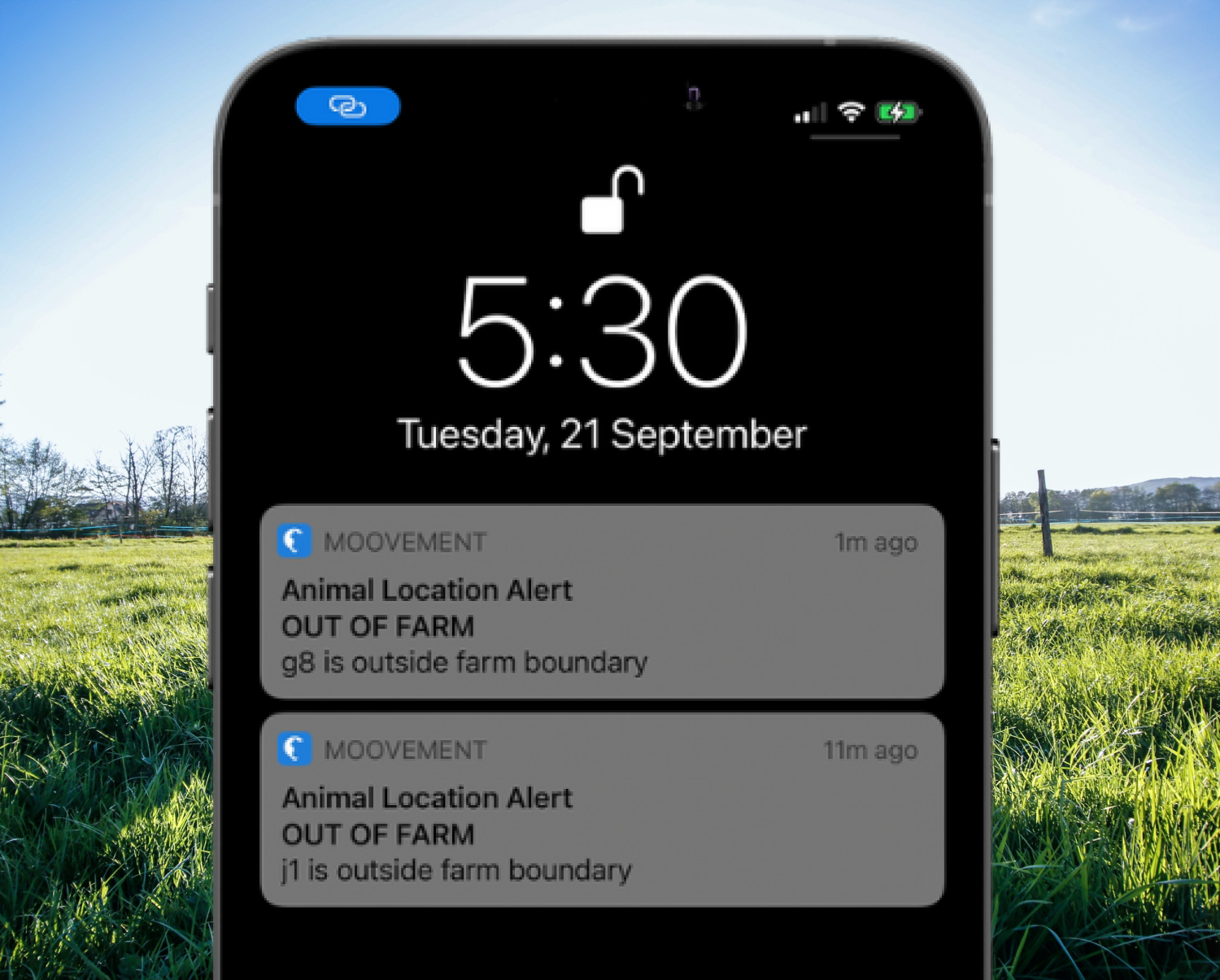 GPS Ear Tags for Cattle