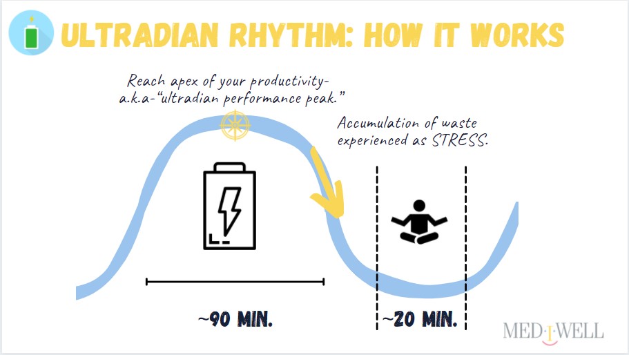 Med-I-Well | Ultradian Rhythm & the Importance of Taking Breaks