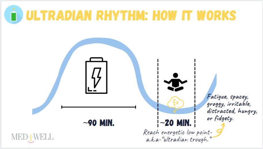 Med-I-Well | Ultradian Rhythm & the Importance of Taking Breaks