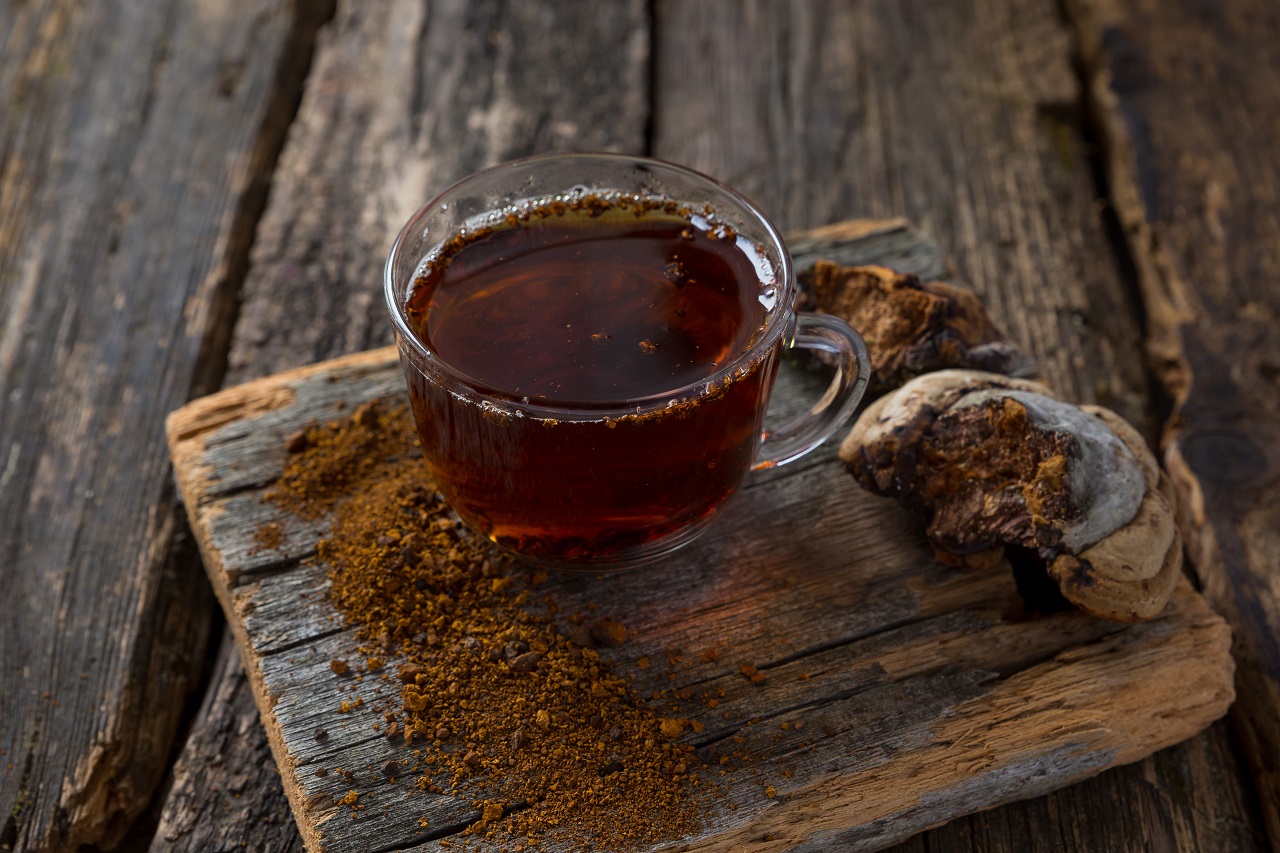 From Forest Floor to Teacup: Understanding Mushroom Tea