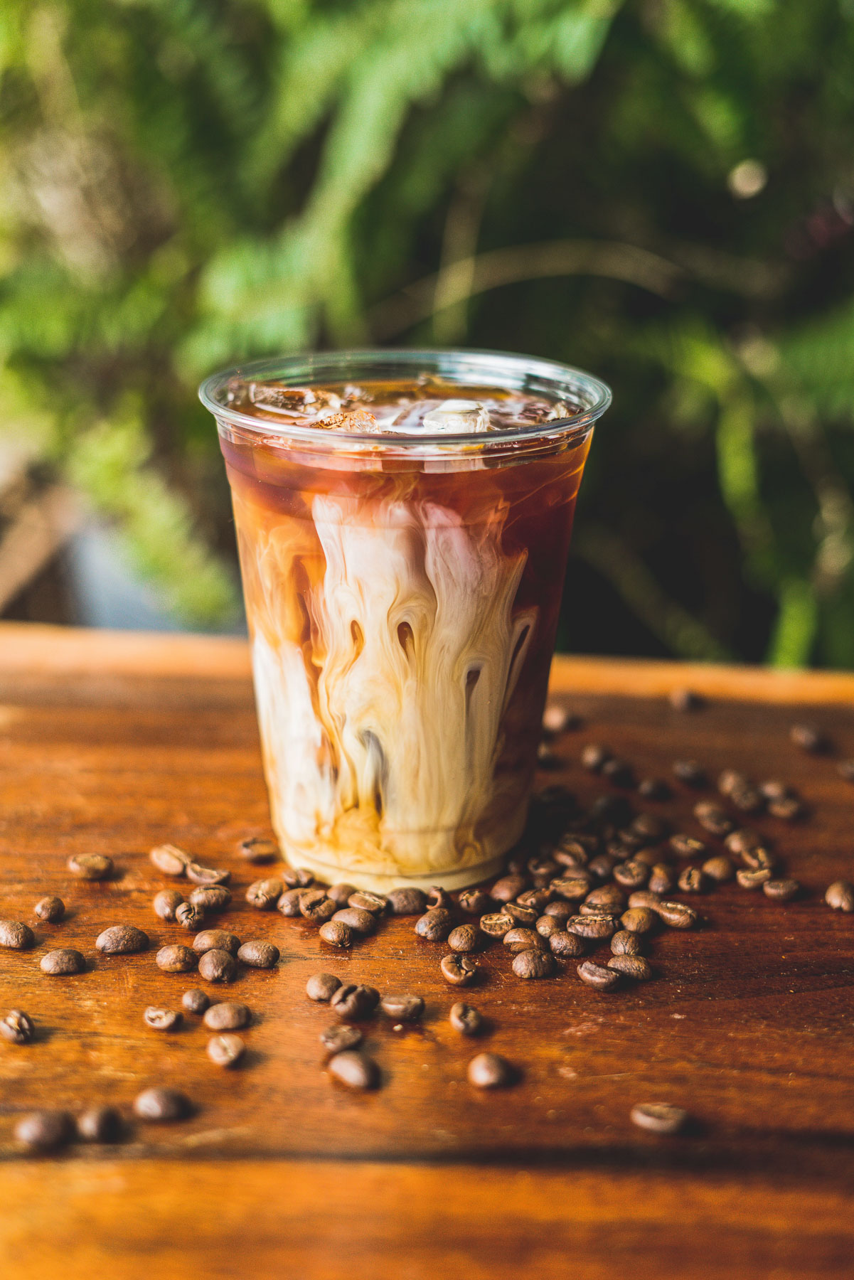 Red Rooster Coffee Roaster