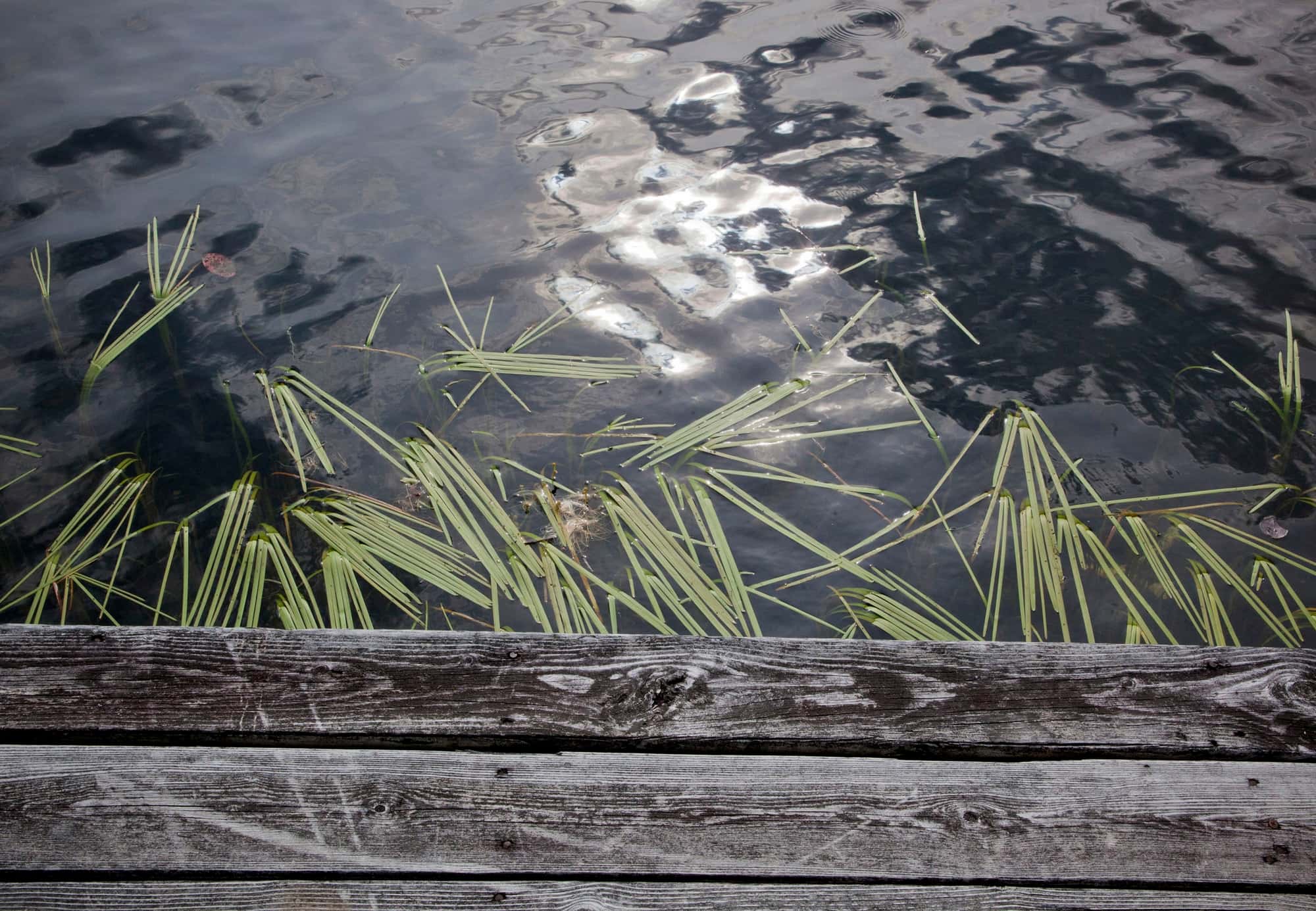 Artdoc Magazine - Online Exhibition - Japanese Garden