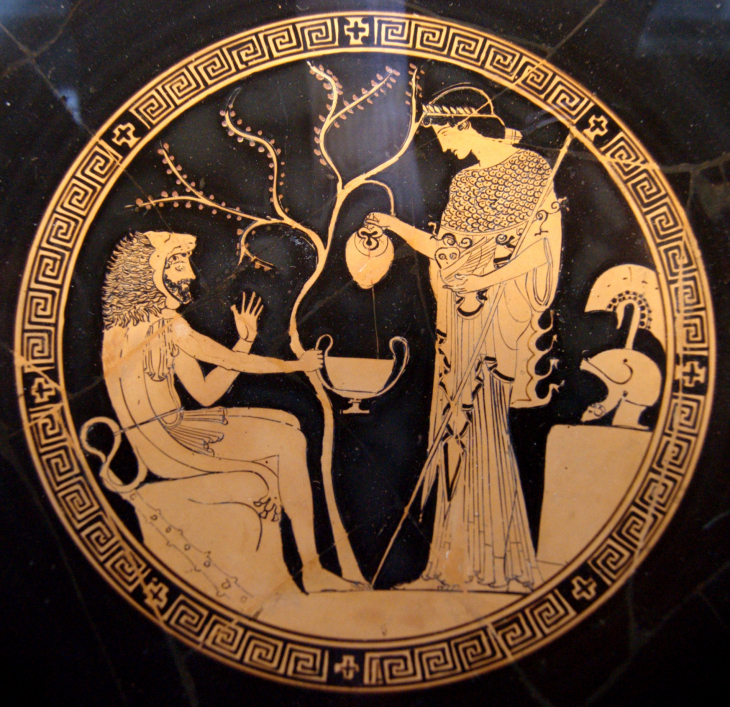 Owls and Athena | Blog