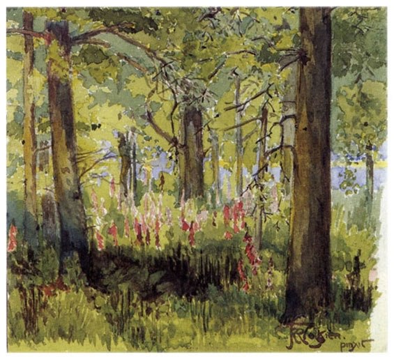 Tolkien’s Trees and Landscapes | Blog