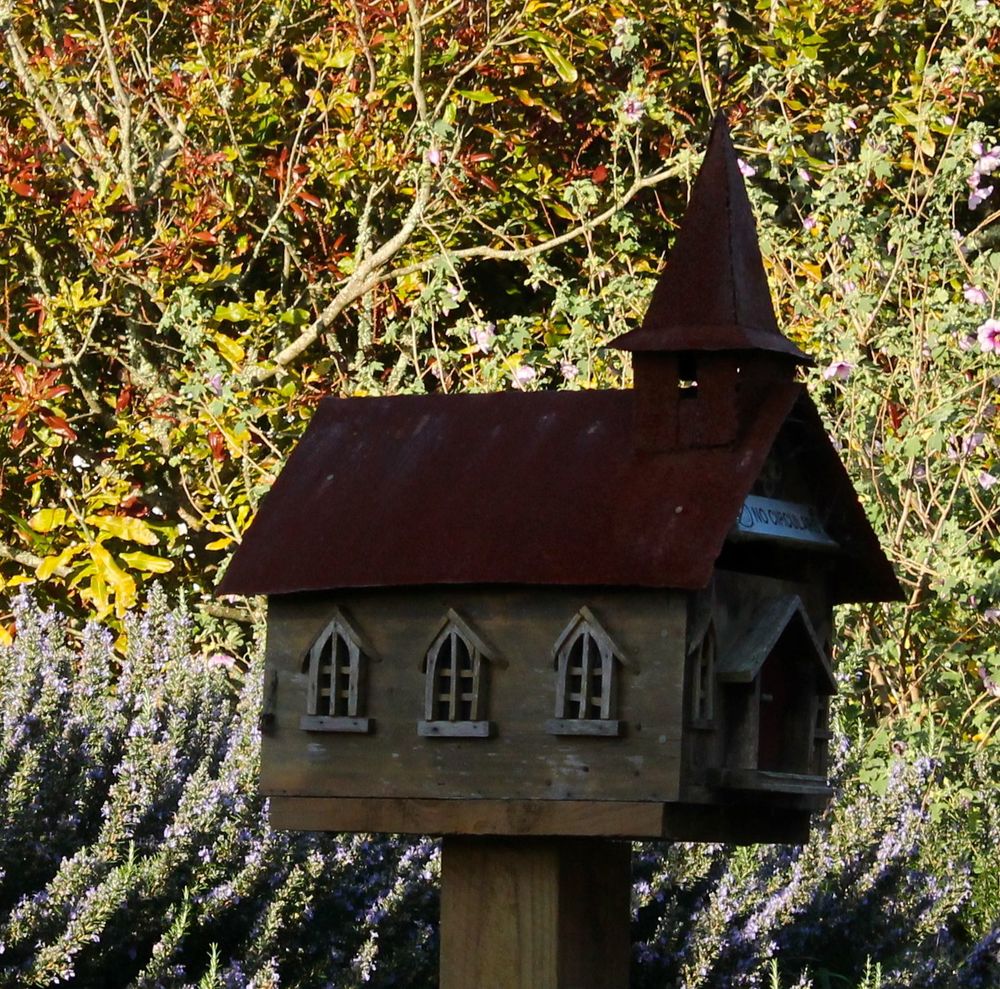 Cute Mailbox - Living a Real Life