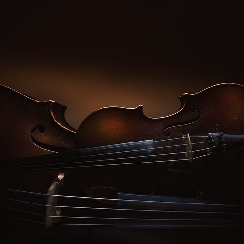 The Greatest String Quartets of All Time・Classical Music Playlists