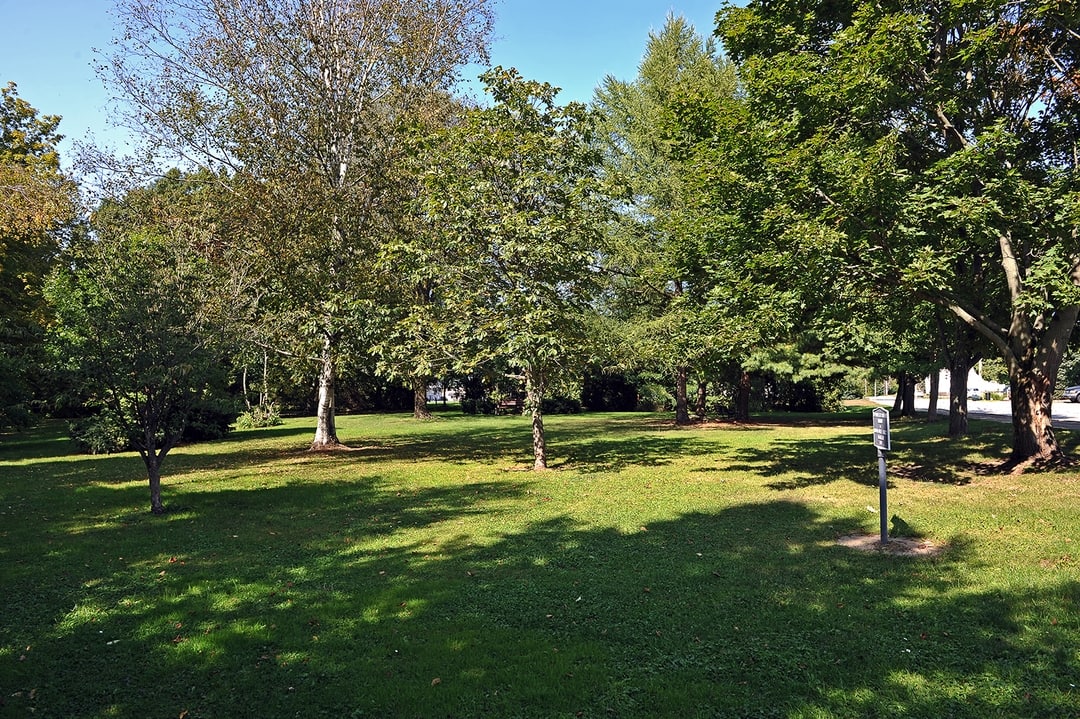Parks + Playgrounds