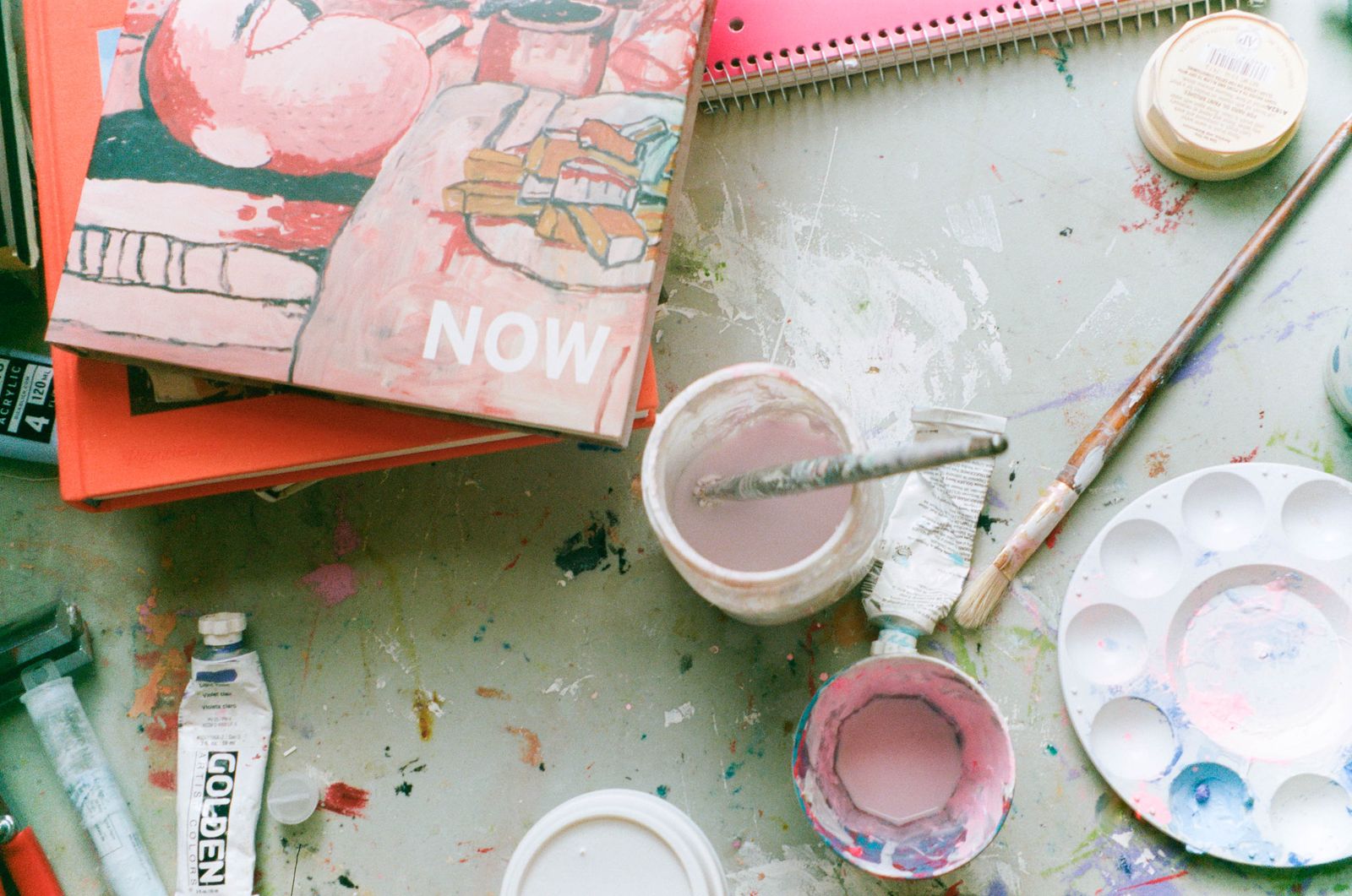 Interview with Dylan Rose Rheingold