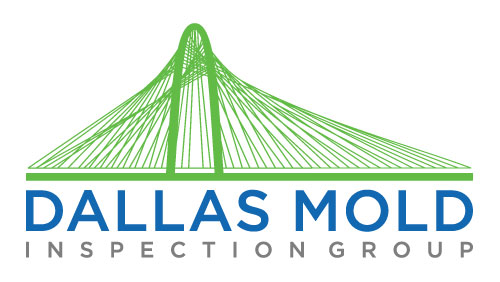 Dallas Mold Inspection Group