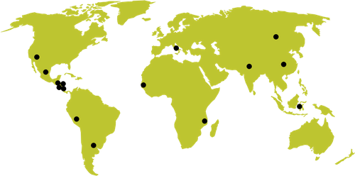 Source International