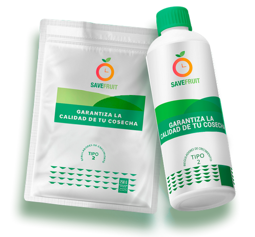 SAVEFRUIT – Frutas que duran más tiempo