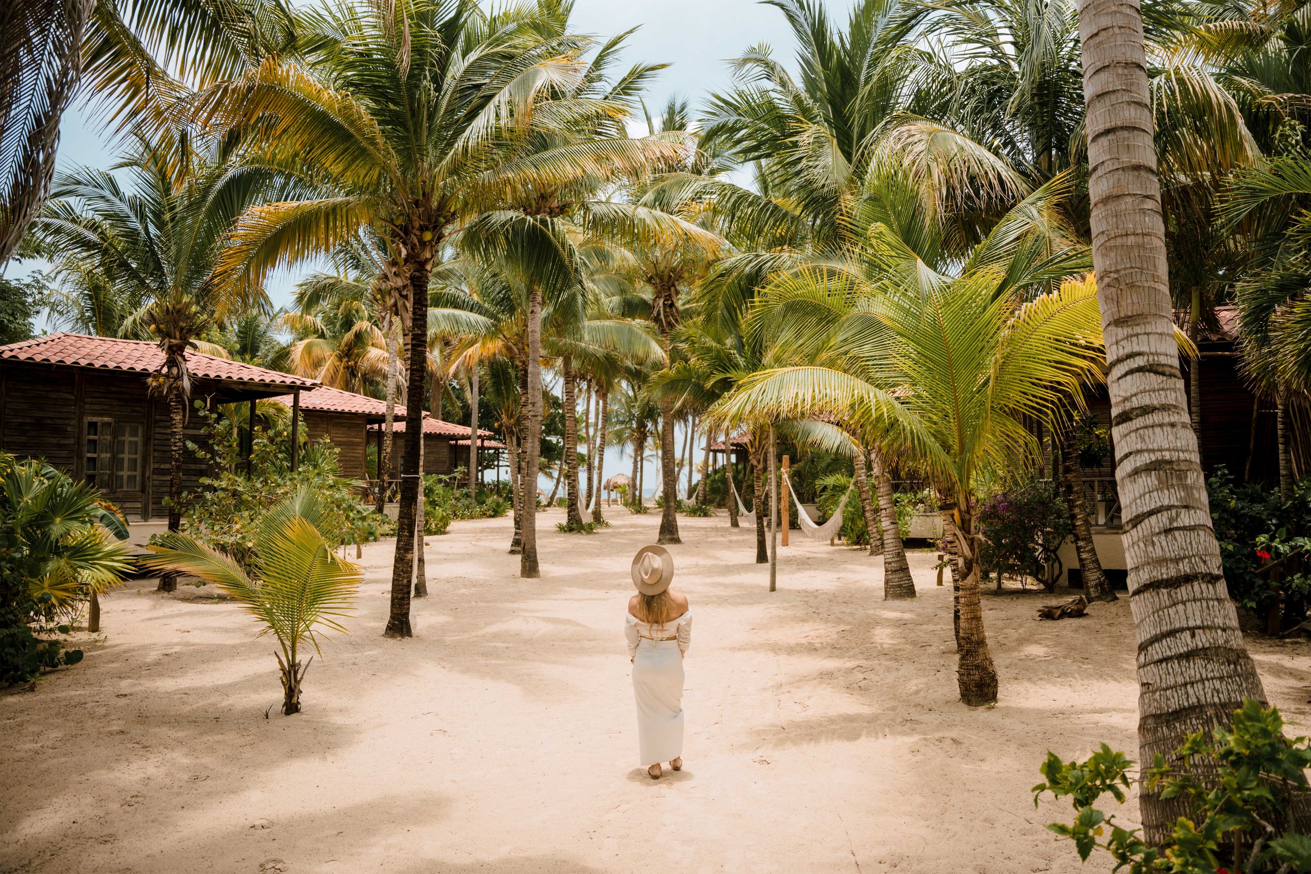 Home [www.petitlafitte.com]