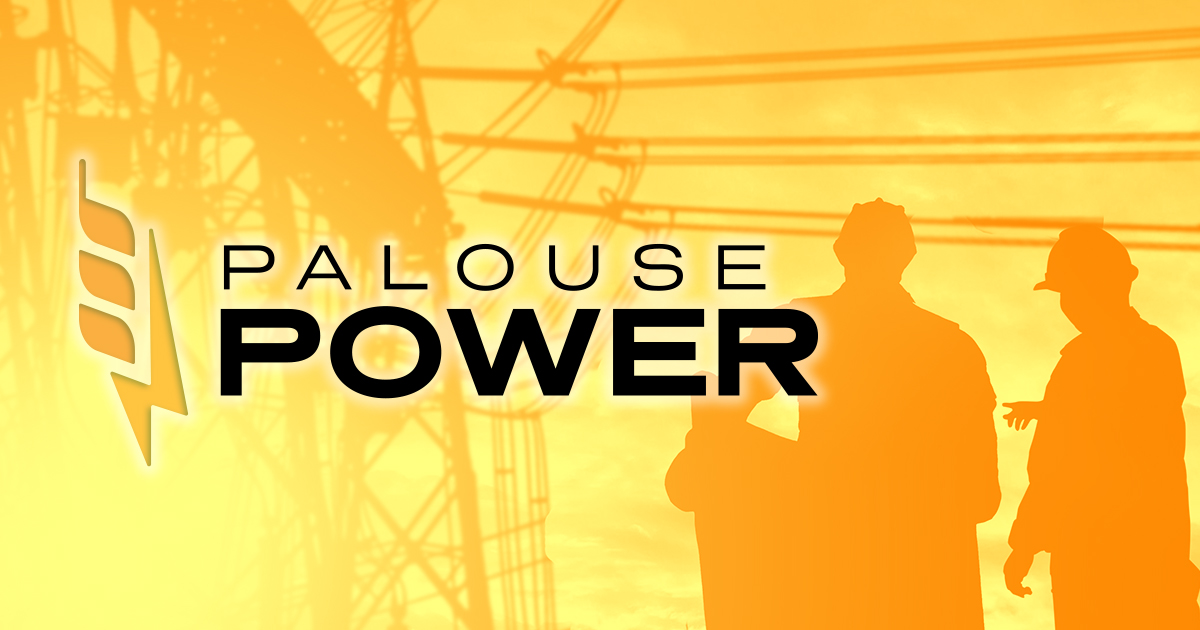 Palouse Power | Services