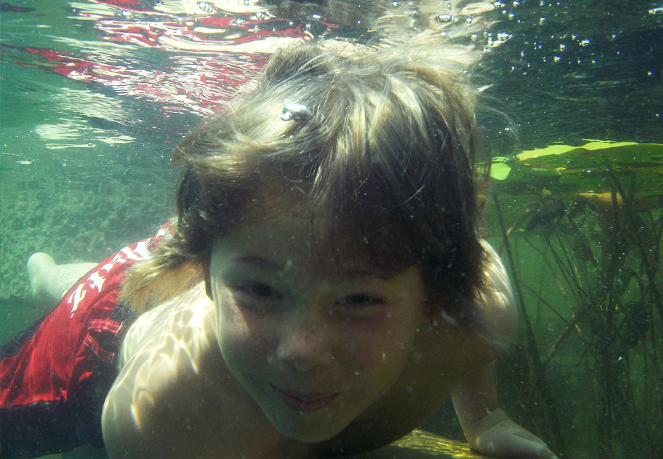 Ellicar Blog | Ten Reasons to Choose a Natural Pool